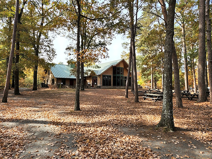 Nature's cathedral with a roof of leaves. This gathering place offers more spiritual renewal than many buildings with steeples.