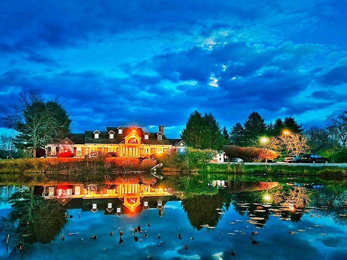 As twilight falls, the restaurant transforms into a glowing haven for hungry travelers. Even the ducks stick around for dinner service.