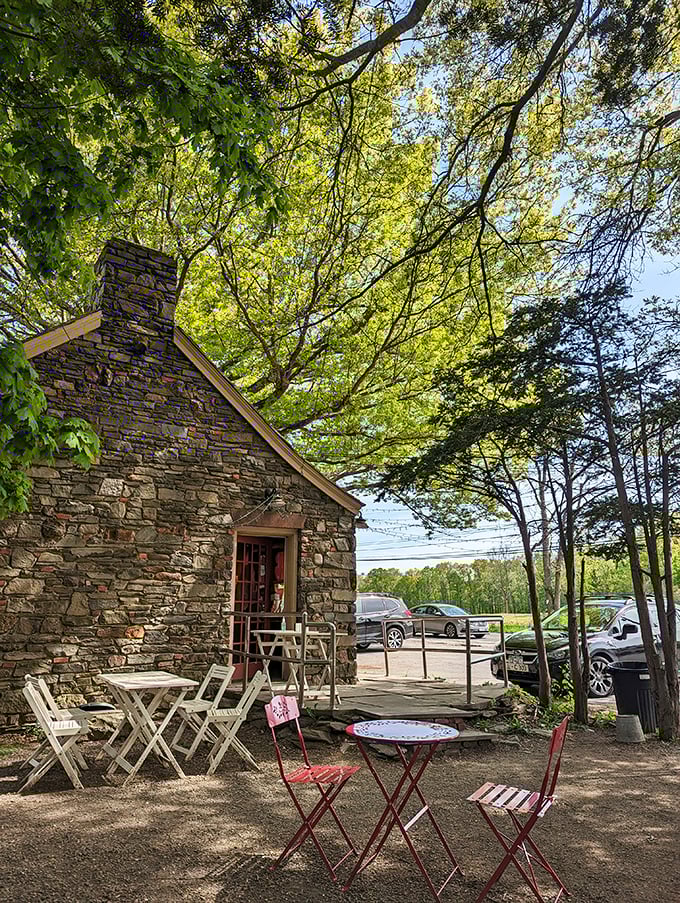 Outdoor seating under dappled sunlight transforms lunch into a bucolic escape. Even the birds seem jealous of your meal.