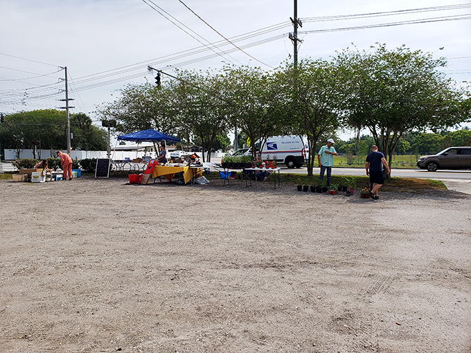 The occasional outdoor sale—where fabric hoarders (sorry, "collectors") gather like bargain-hunting butterflies to expand their stash.