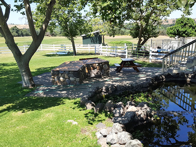 Outside, stone tables under shade trees offer a peaceful respite. Nature and nostalgia create the perfect partnership beside tranquil waters.