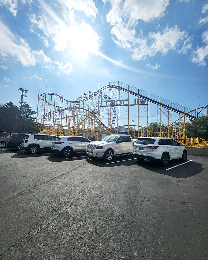 Beyond the parking lot, Ocean City's iconic roller coaster reminds visitors that dry thrills await when fingers finally reach maximum prune status.