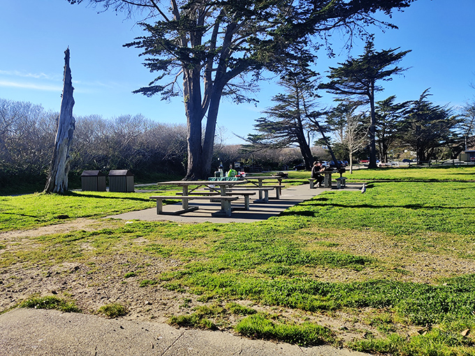Picnic perfection under towering trees. These simple wooden tables have hosted more meaningful conversations and family memories than any fancy restaurant.