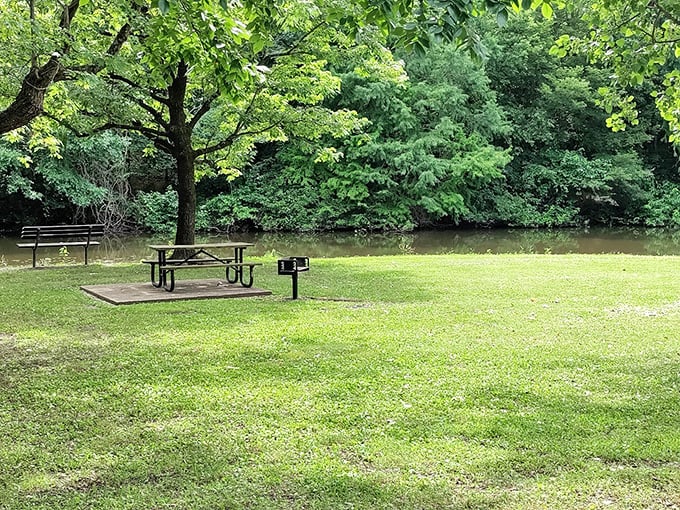 Riverside relaxation awaits with this perfectly positioned picnic table, where lunch comes with a side of tranquility and occasional wildlife cameos.