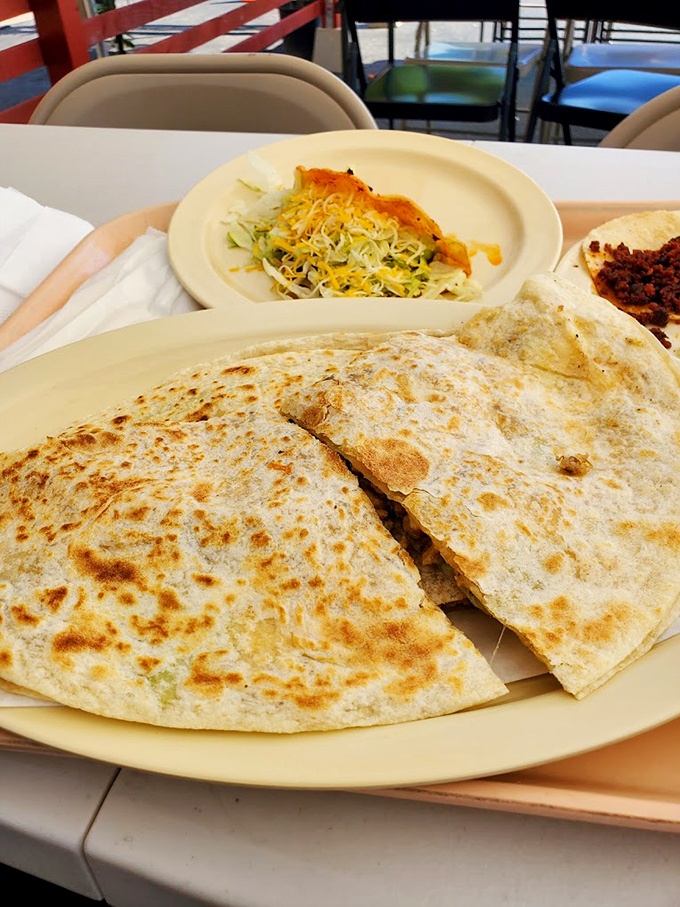 The quesadilla at Mr. Giant isn't playing around&mdash;golden-brown, perfectly crisped, and stuffed with enough cheese to make Wisconsin proud.