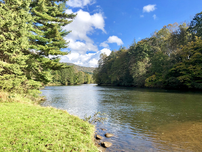 The river's edge offers front-row seats to nature's greatest show. Clear waters, green banks, and not a single notification ping to disturb the peace.