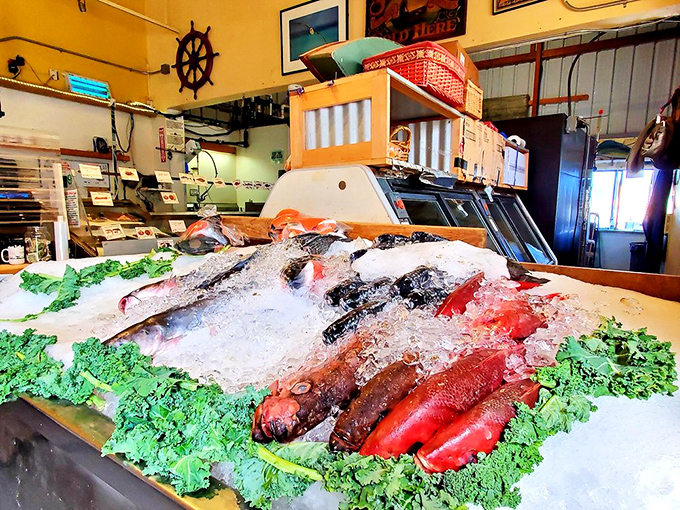 Fresh catch displayed with the pride of new parents. These aren't just fish &ndash; they're tomorrow's memories waiting to be made.