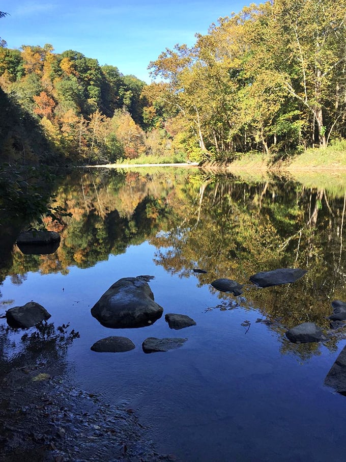 Mirror, mirror in the creek! Fall's golden palette reflects perfectly in Sugar Creek's calm waters, doubling the visual feast and proving nature is the ultimate Instagram filter.