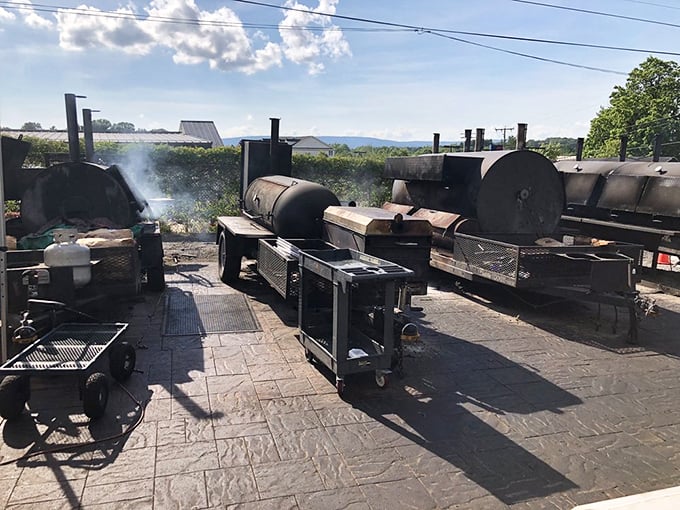 These smokers aren't just cooking equipment&mdash;they're time machines transforming tough cuts into tender treasures. The Blue Ridge Mountains backdrop is nature's seal of approval.
