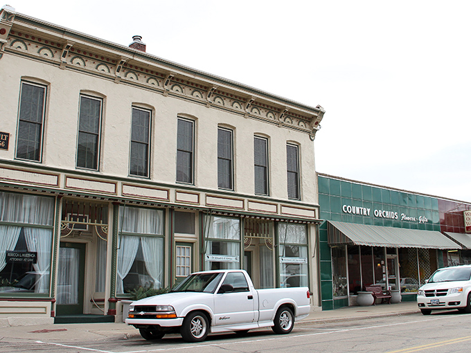 Country Orchids' storefront brings a touch of floral elegance to a street where every business seems to have a story worth hearing.