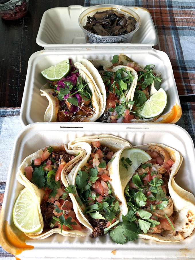 Tacos arranged like tiny open-faced flavor symphonies, with lime wedges conducting the whole delicious orchestra. The cilantro garnish isn't optional&mdash;it's essential.