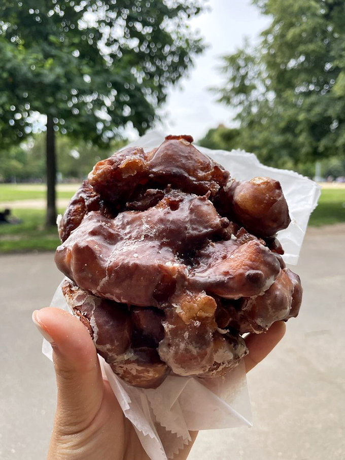 The apple fritter&mdash;a magnificent beast of twisted dough, apple chunks, and glaze. Part pastry, part breakfast, complete indulgence.