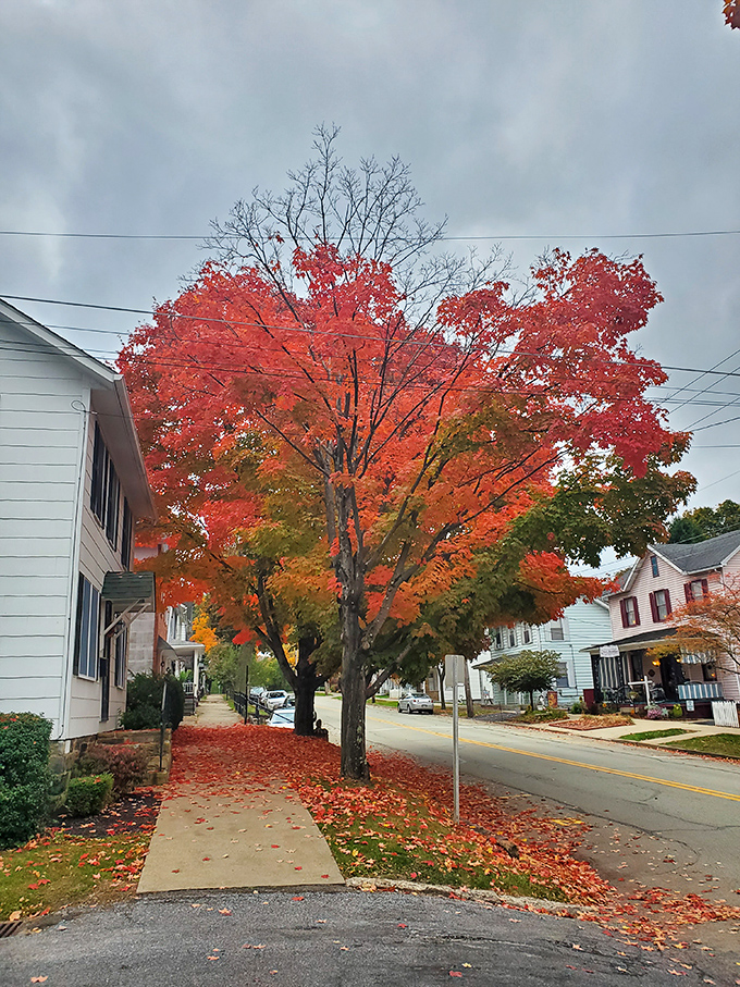 Fall transforms Ligonier's streets into a canvas of crimson and gold, scattering nature's confetti across sidewalks that have witnessed centuries of seasons.