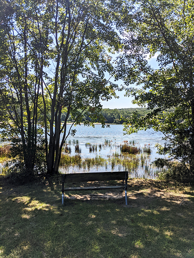 The best seat in Maryland doesn't require reservations&mdash;just patience, appreciation, and perhaps a good book for company.
