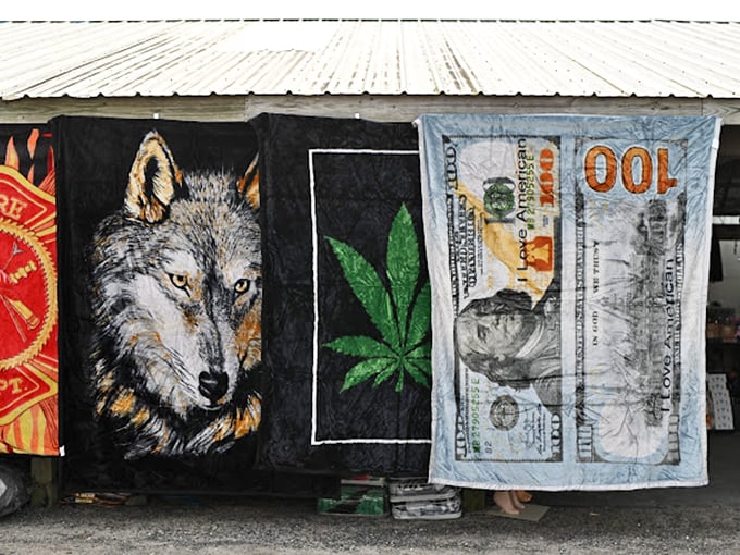 Tapestries that boldly announce their owner's personality. Nothing says "interesting neighbor" quite like a wolf and hundred-dollar bill combo.