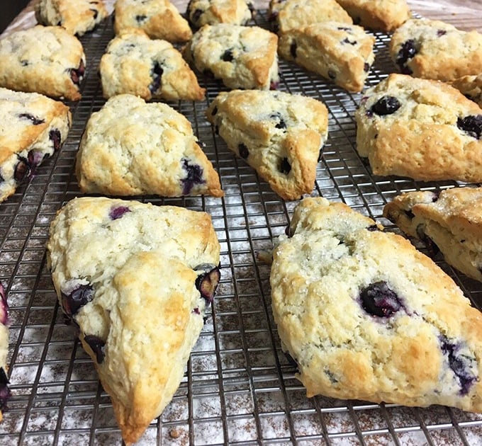 Fresh blueberry scones cooling on the rack, each one a perfect triangle of buttery potential. Berry-studded geometry has never looked so appetizing.