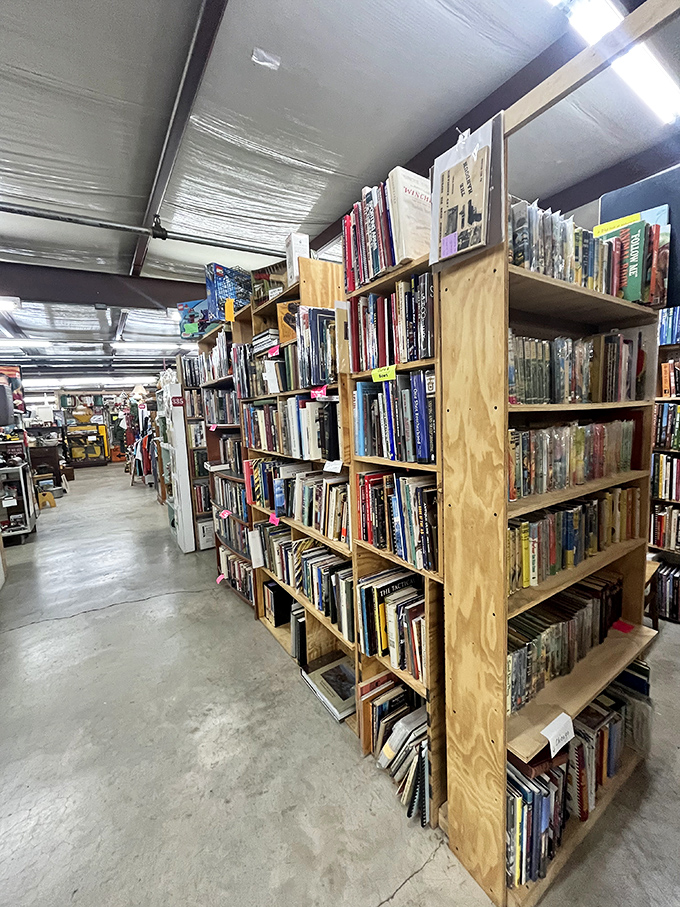 Library of forgotten knowledge &ndash; where cookbooks recall when Jell-O was gourmet and repair manuals assume you're handy.