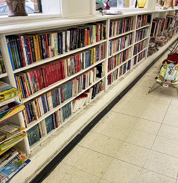 Books line the shelves like retired professors, their wisdom and adventures available for pocket change instead of tuition fees.