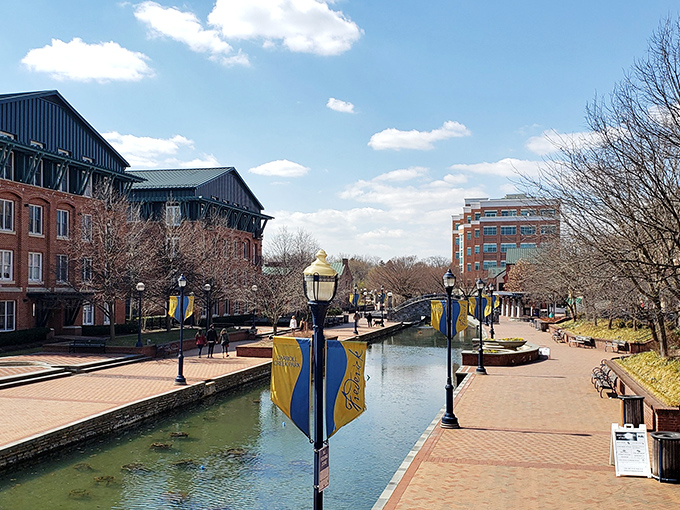Carroll Creek in winter shows a different side of Frederick&mdash;serene, contemplative, and free of the paddle boat traffic jams.