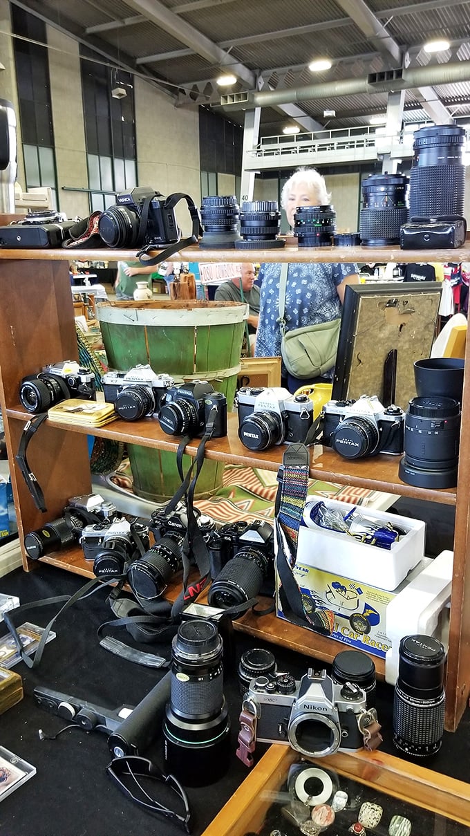 A photographer's dream table loaded with vintage cameras. Each lens has captured thousands of moments, from "say cheese" to "I do" to "they grow up so fast."