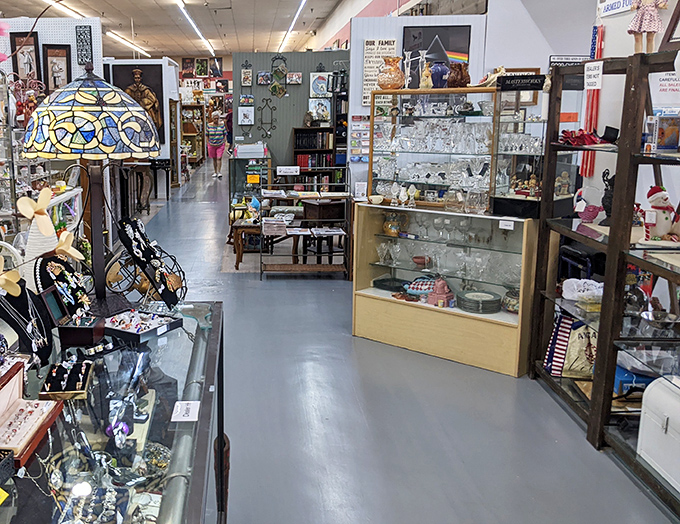 Display cases gleaming under the lights, each shelf a carefully arranged tableau of crystal, porcelain, and the occasional inexplicable collectible figurine.