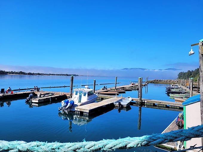 The working marina view that five-star restaurants can only dream about. Those boats aren't decorative&mdash;they're bringing in your dinner.