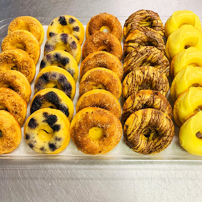A lineup of donuts so diverse and beautiful they deserve their own reality show: "America's Next Top Pastry."