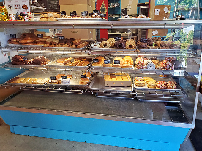 The display case&mdash;a museum of fried dough masterpieces where every shelf tells a different delicious story. Choose your own adventure. 