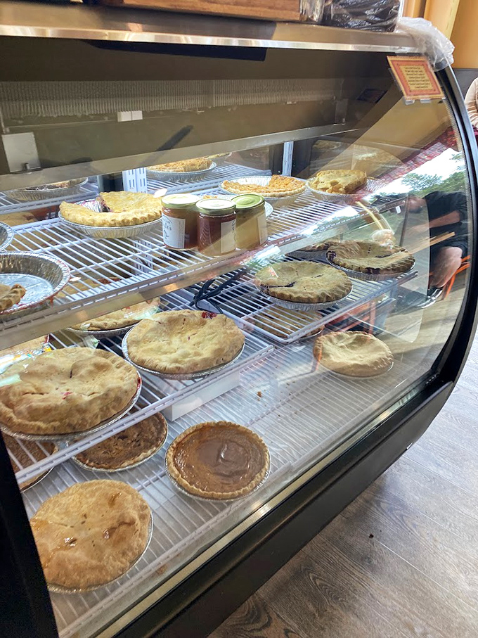 The pie case at Otis Caf&eacute; isn't just a display &ndash; it's a museum of deliciousness where every exhibit deserves your careful consideration and eventual consumption.