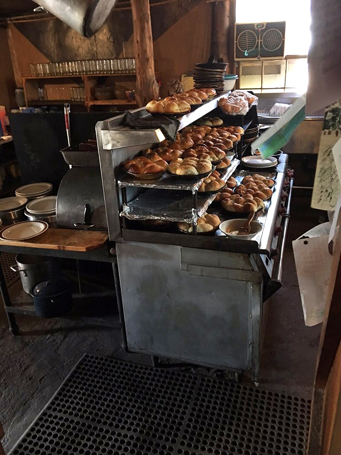 Fresh-baked rolls stand in formation, awaiting their call to duty&mdash;golden-topped soldiers in the battle against hunger.