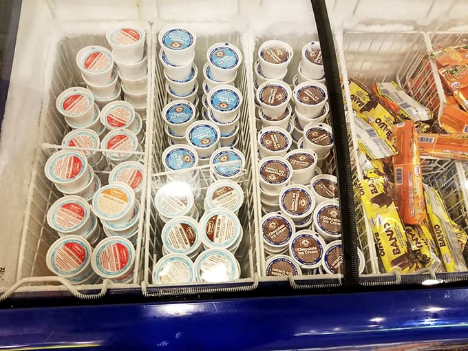 The ice cream freezer: where diet plans go to die and childhood memories come alive. Those little cups promise sweet redemption after savory excess.