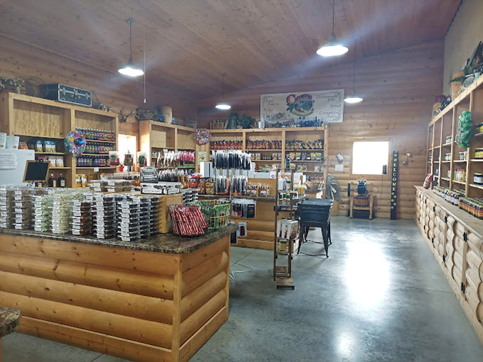 Sunlight streams across shelves of jarred delights. Like a library where everything is delicious and "checking out" requires your wallet.