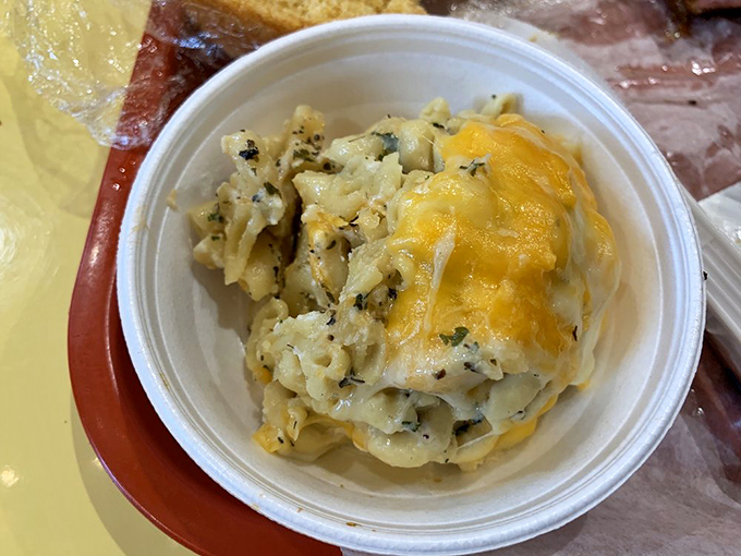 Mac and cheese that doesn't know it's a side dish. That golden crown of melted cheese is making a serious play for main attraction status.