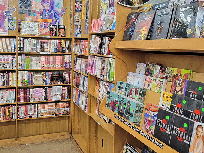 Manga and graphic novels create a colorful oasis, proving that sometimes the most powerful storytelling combines words with images.