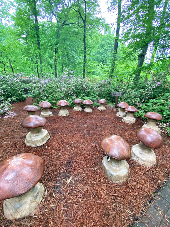 The mushroom circle isn't for sitting&mdash;unless you're a gnome attending a very important meeting. This whimsical garden feature proves Winterthur takes its enchantment seriously.