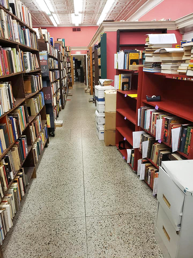 Pink walls add unexpected warmth to this bibliophile's paradise. The stacks of unshelved books suggest new treasures are constantly arriving.