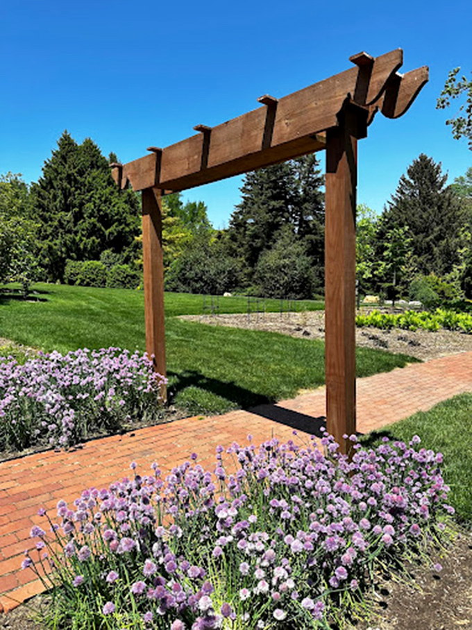 Wooden pergolas frame pathways like nature's version of a movie title sequence. Purple flowers provide the perfect supporting cast.