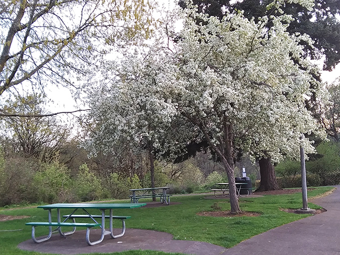 Spring blossoms and picnic tables await post-swim hunger pangs. Nature provides the perfect backdrop for recovering from waterslide marathons.