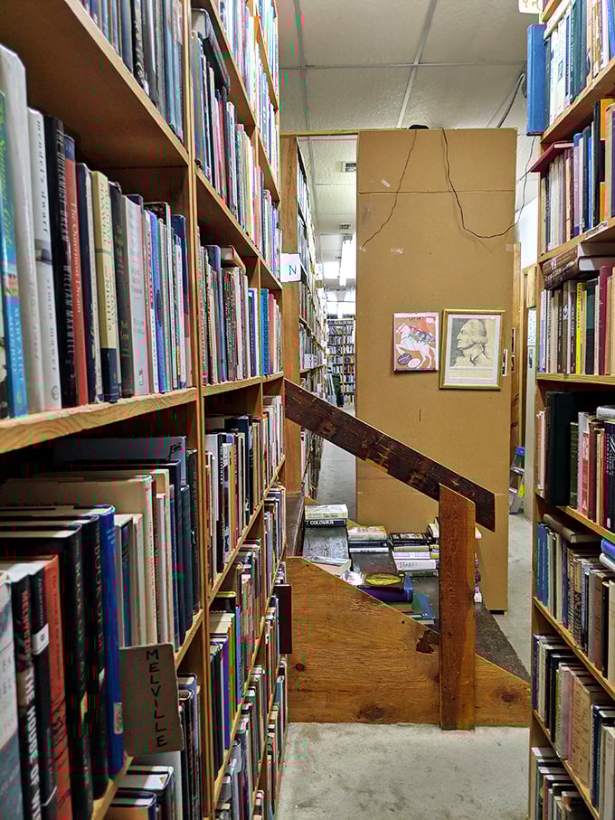 Literary pathways lead to unexpected corners and hiding spots. I've seen smaller Manhattan apartments with higher rent and far fewer interesting characters.