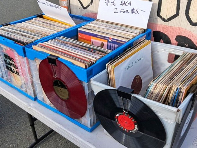 Vinyl treasures organized for the dedicated crate-digger&mdash;each album a time machine to someone's musical coming-of-age moment.