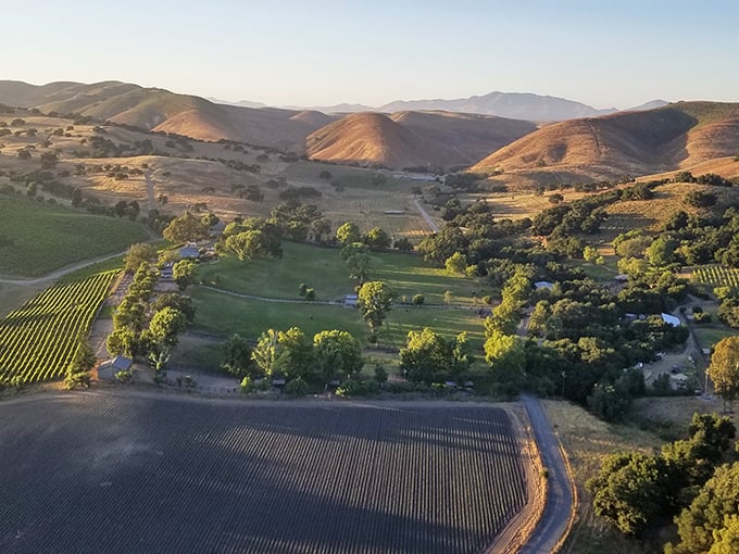 The golden hour transforms these rolling hills into a landscape so breathtaking it makes you question every life choice that doesn't involve living here.