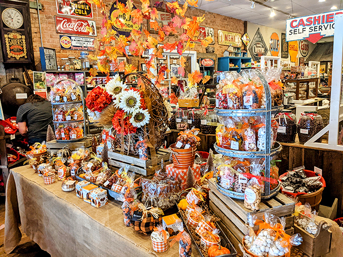 Fall harvest meets sugar rush in this seasonal display that transforms ordinary candy into festive gifts worth celebrating.