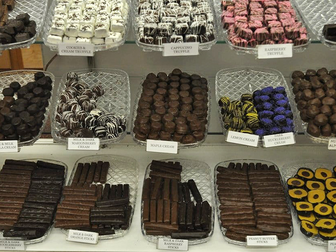 A chocolate library where every selection tells a different story. The peanut butter sticks are writing bestsellers.