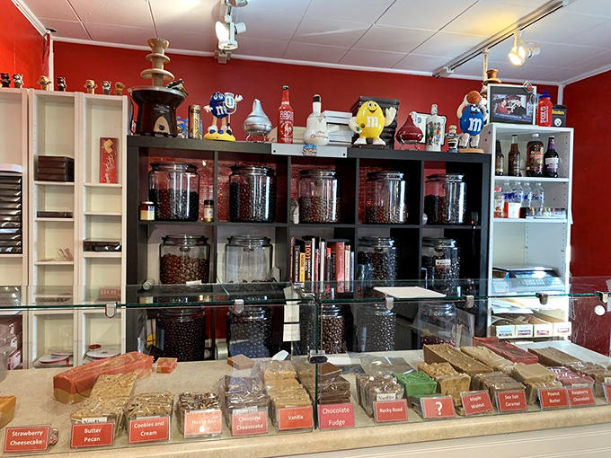 The fudge counter&mdash;gateway drug to NazBro addiction. Each flavor tells a different story, but they all end with "and then I bought more."