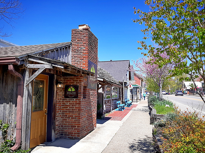 These storefronts don't just sell merchandise; they preserve craftsmanship in a world increasingly satisfied with the mass-produced and disposable.