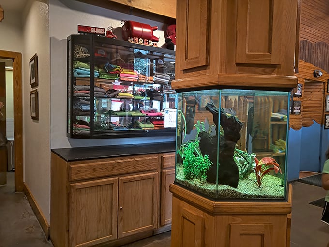 Even the fish get to enjoy The Catfish Hole&mdash;though from the safety of their tank, watching as their distant cousins star on the dinner menu.