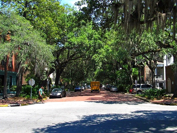 Jones Street's canopy of live oaks creates nature's awning, filtering sunlight into the perfect Instagram filter before Instagram was even invented.