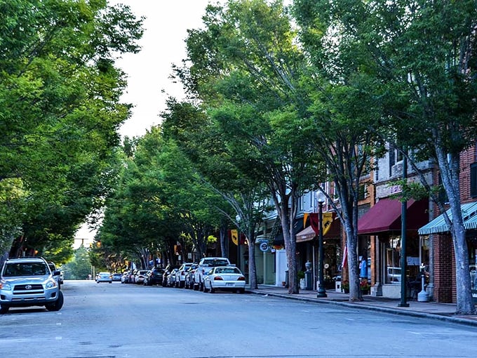 Tree-lined downtown streets create natural canopies over historic storefronts, offering shade and ambiance in equal, generous measure.