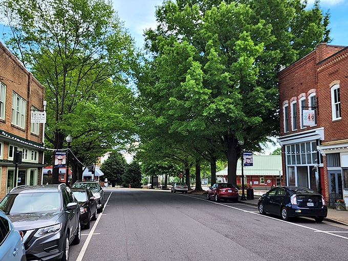 Tree-lined streets with diagonal parking&mdash;the hallmark of a town that values both beauty and practicality. Those mature trees have witnessed generations of Culpeper stories.