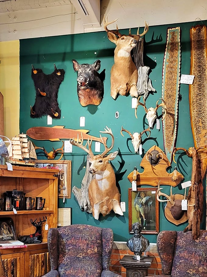 The taxidermy section isn't for everyone, but these preserved creatures represent an era when bringing the outdoors inside was the height of sophisticated decor.